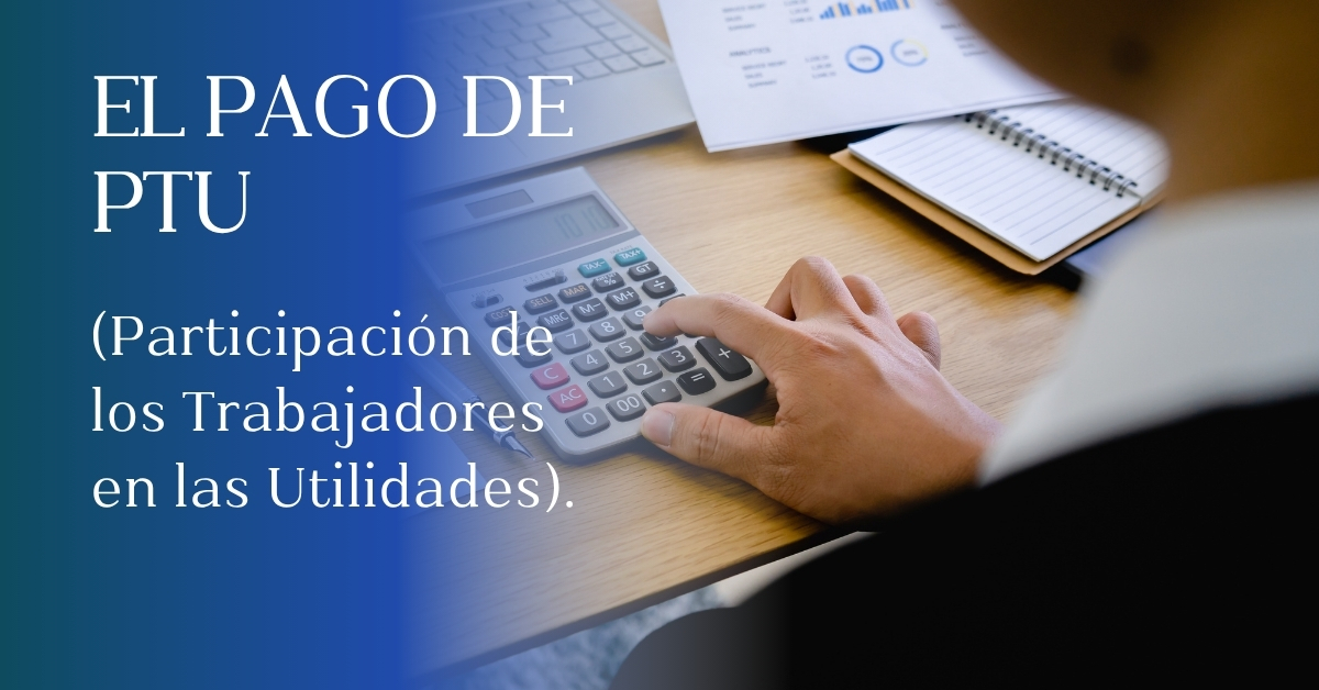 Pago de PTU 2024: Guía Completa sobre la Participación de los ...